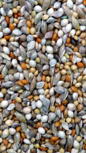 AVIGRAIN FINCH MIX 800G – Campbelltown Pet & Aquarium Centre Pty Ltd