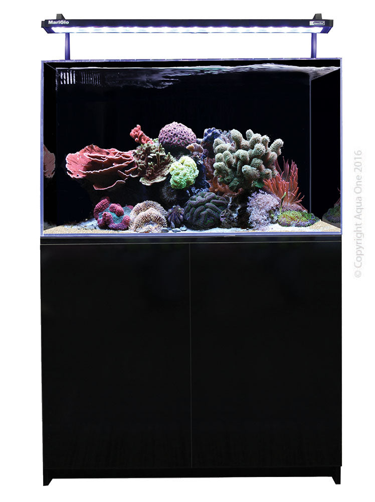 AQUA ONE MINI REEF 160L MARINE BLACK – Campbelltown Pet & Aquarium ...