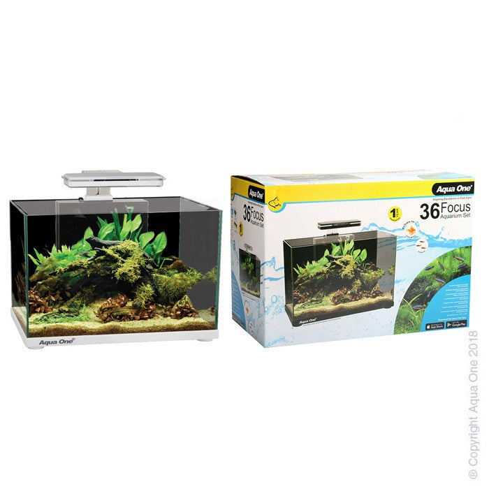 AQUA ONE FOCUS 36 AQUARIUM WHITE – Campbelltown Pet & Aquarium Centre ...